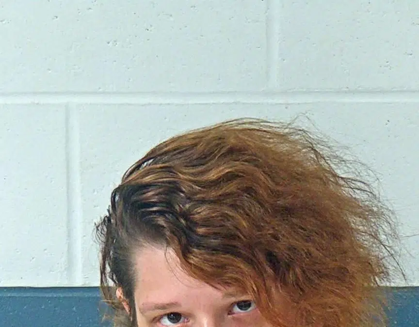 Indiana Woman Arrested In Upper Peninsula In Death Of Young Child ...
