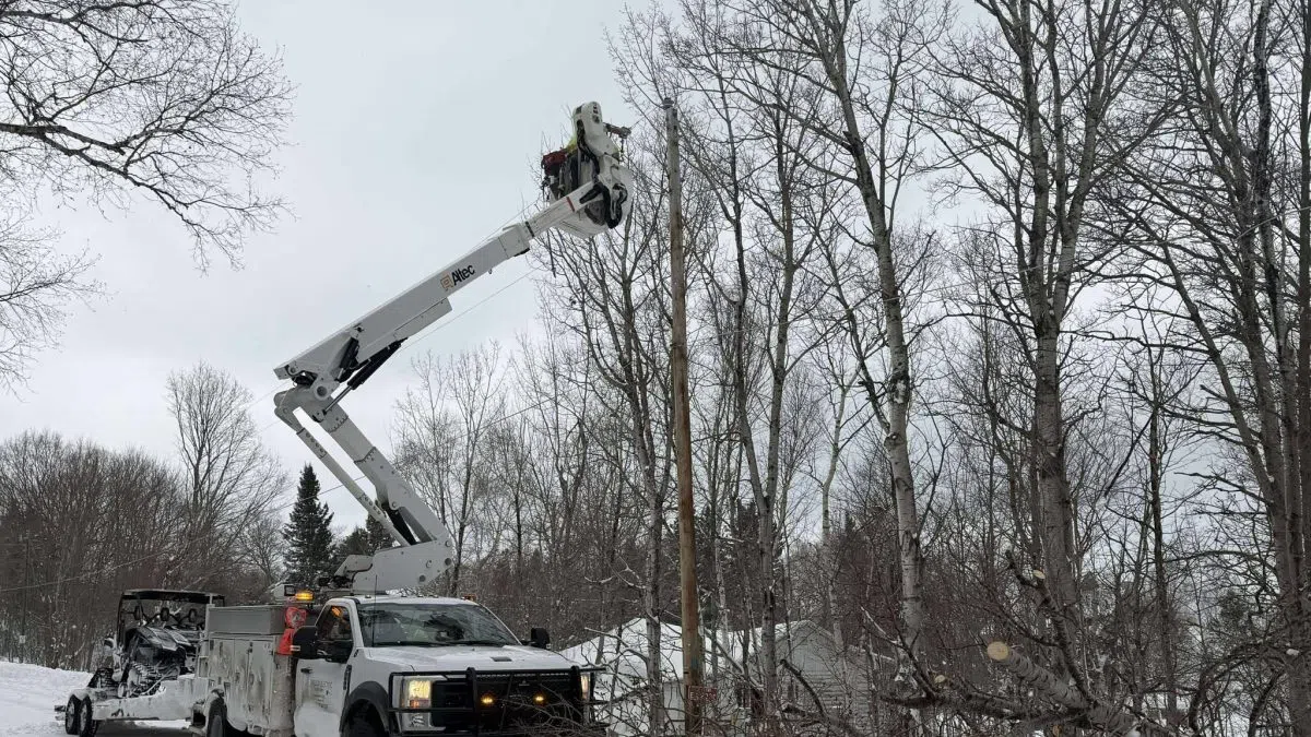 UPDATE: Alger-Delta Co-Op Making Progress; 1,000 Outages Remain ...