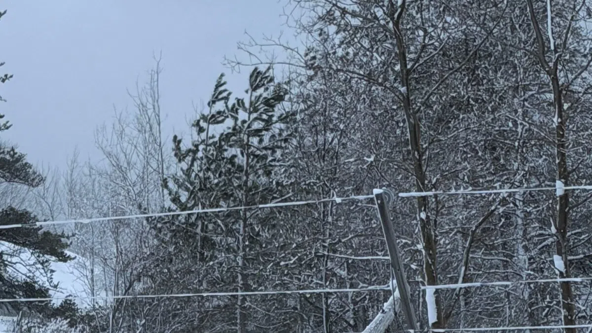 Alger-Delta Co-Op Working To Restore Power To 5,000 Customers ...