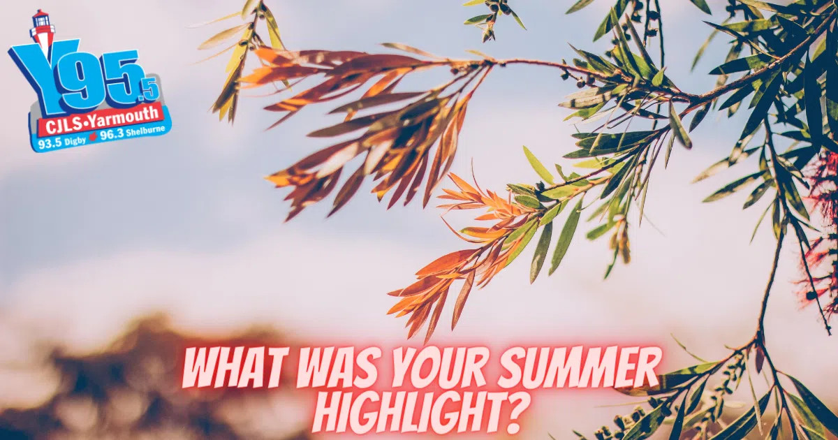 What Was Your Summer Highlight? | Y95.5