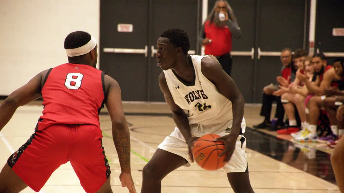 Algonquin Wolves Basketball | CKDJ 107.9 Ottawa's New Music