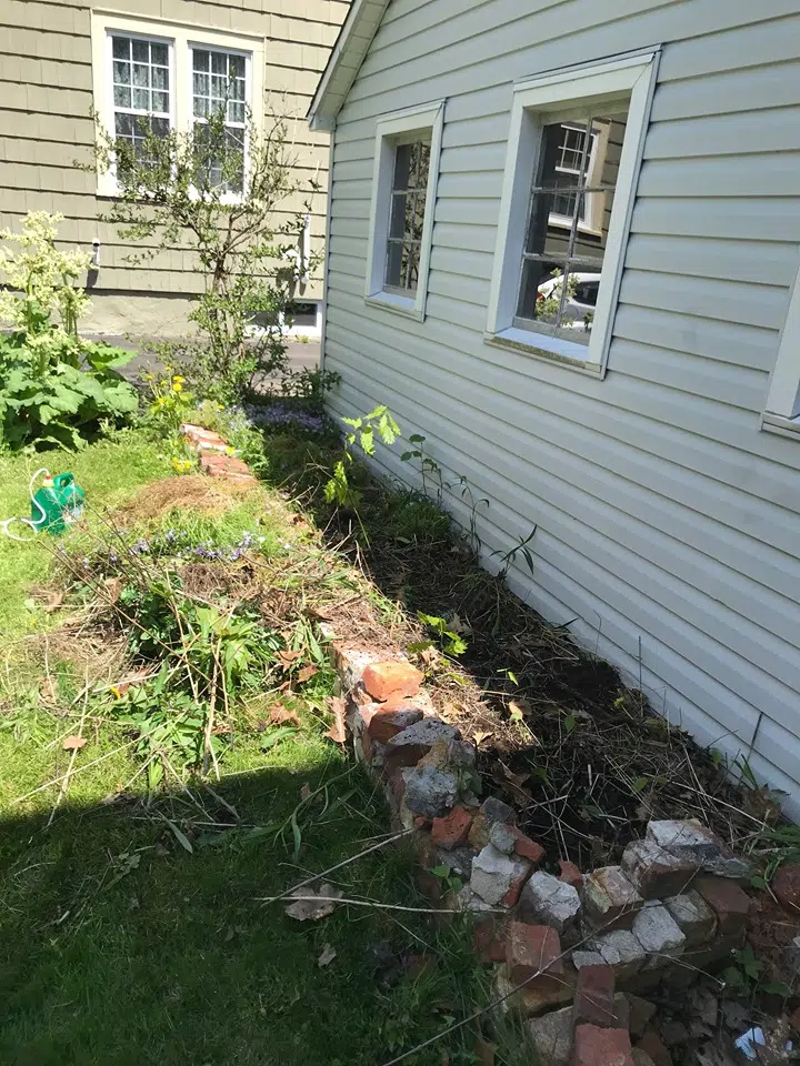 Gen’s garden before and after photos | 91.9 The Bend