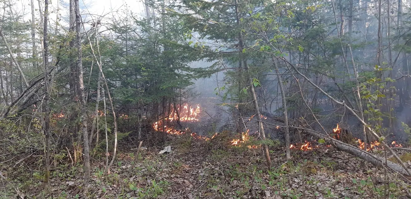 Water Bombers Help Contain Irishtown Park Fire | 91.9 The Bend