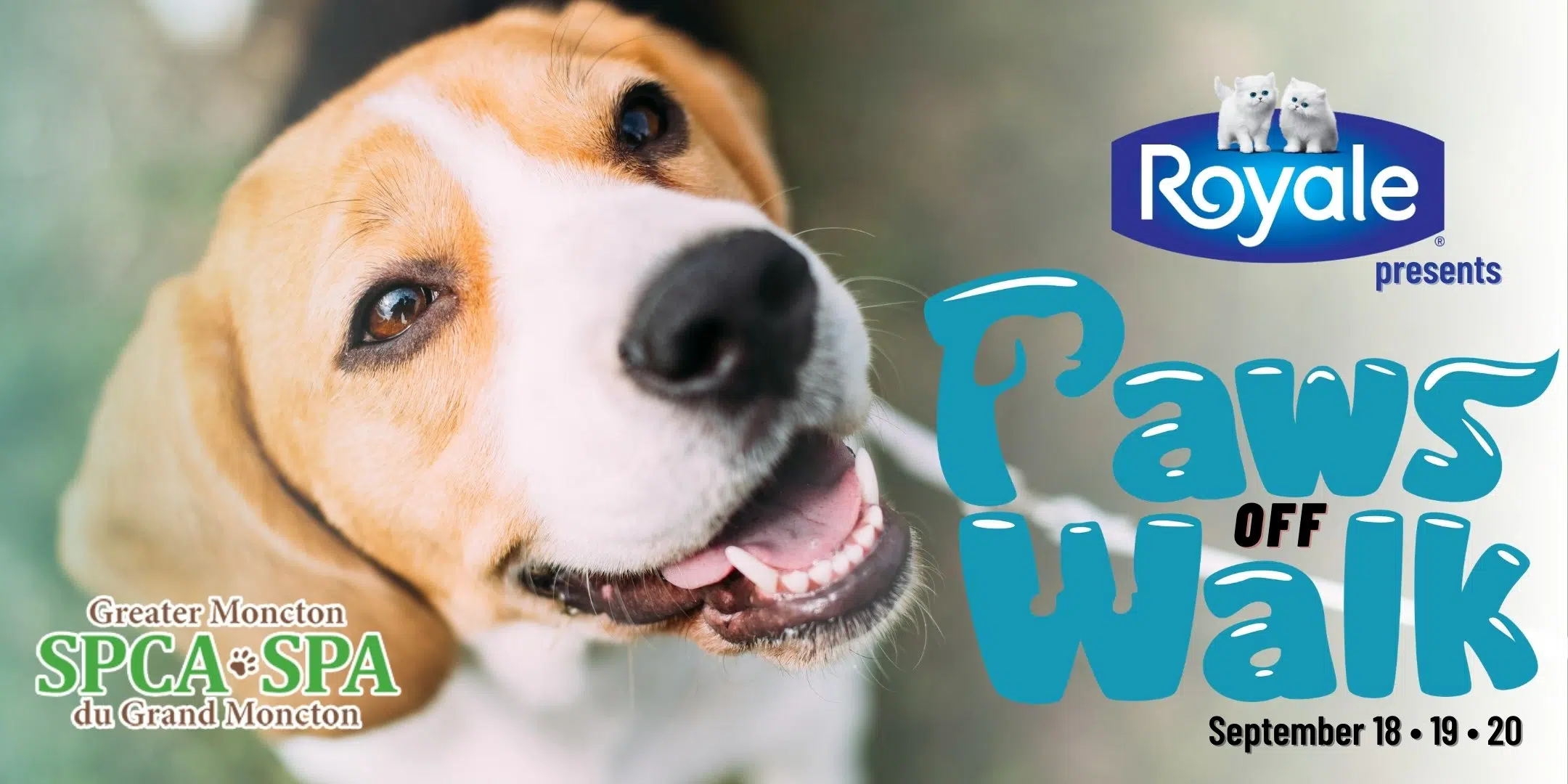 Greater Moncton SPCA Hold First Ever ‘Paws Off Walk’ | 91.9 The Bend