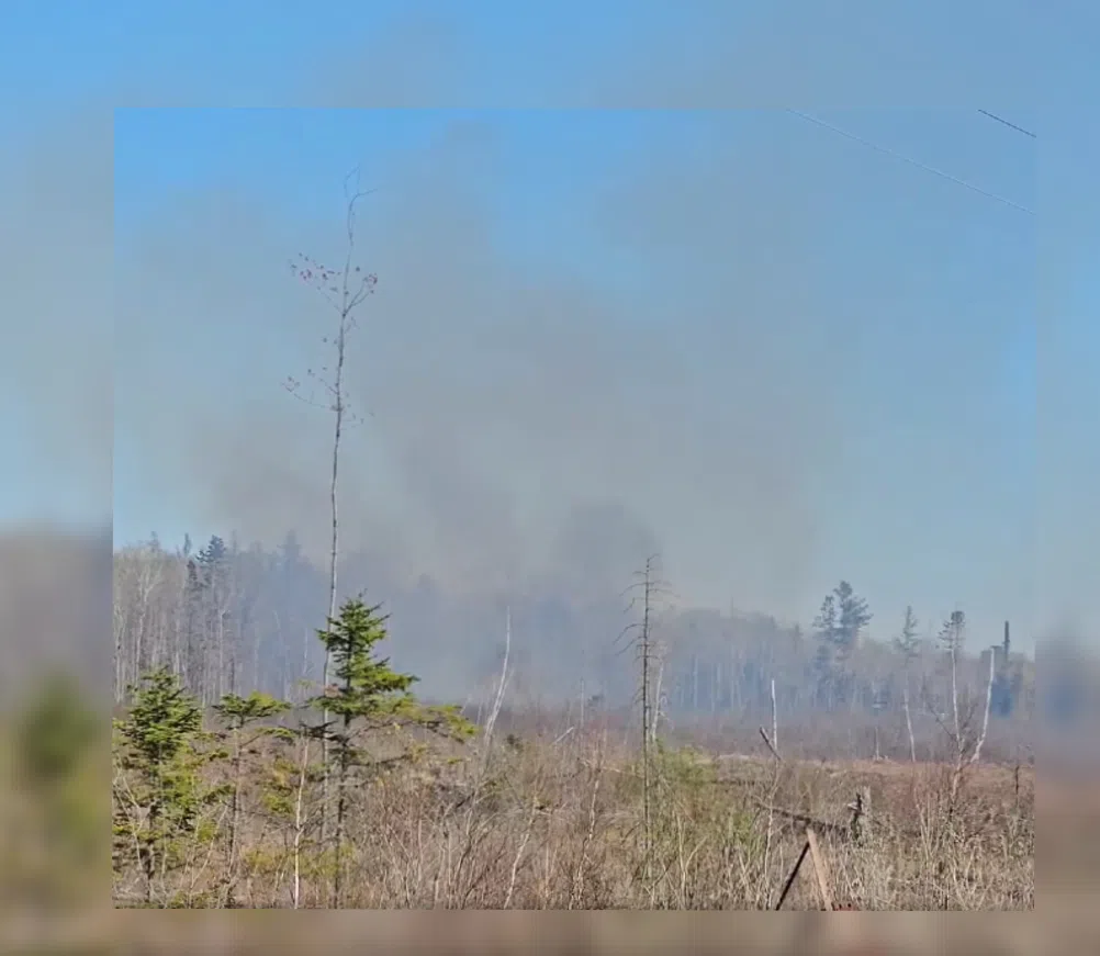Firefighters battle large brush fire in Moncton | 91.9 The Bend