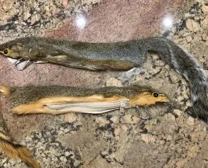 Luke Combs Carries His Money In A Squallet!?! (Warning: Animal Lovers ...