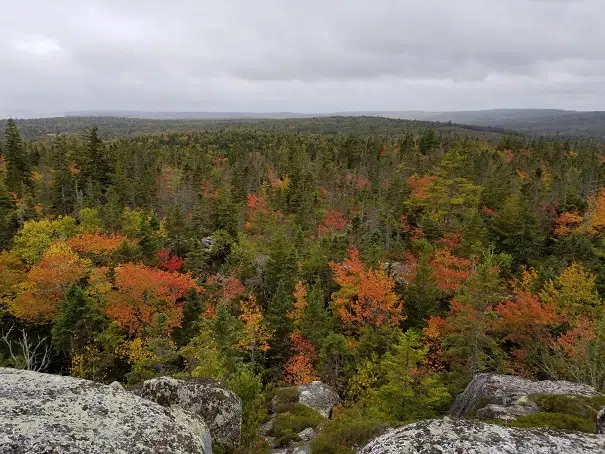 Overhaul Of Harvest Plan Map Viewer Sparks Concerns | Country 100.7