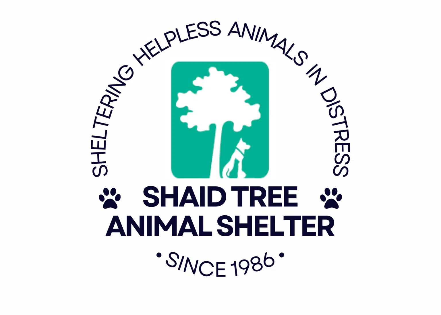 SHAID TREE ANIMAL SHELTER Adoptable of the Week : Shark | Country 100.7