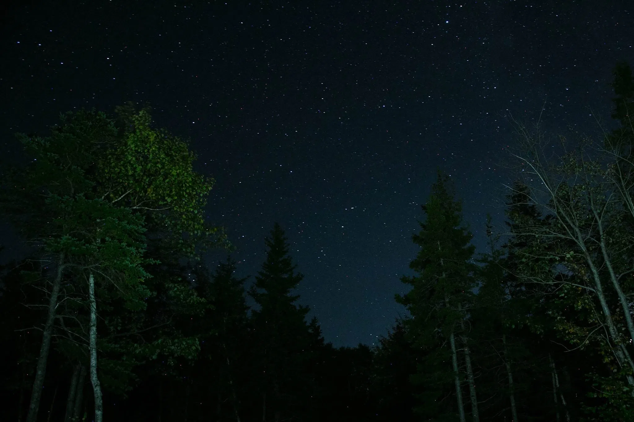 Lands And Forestry Reverses Some Changes To Harvest Plan Map Viewer | CKBW