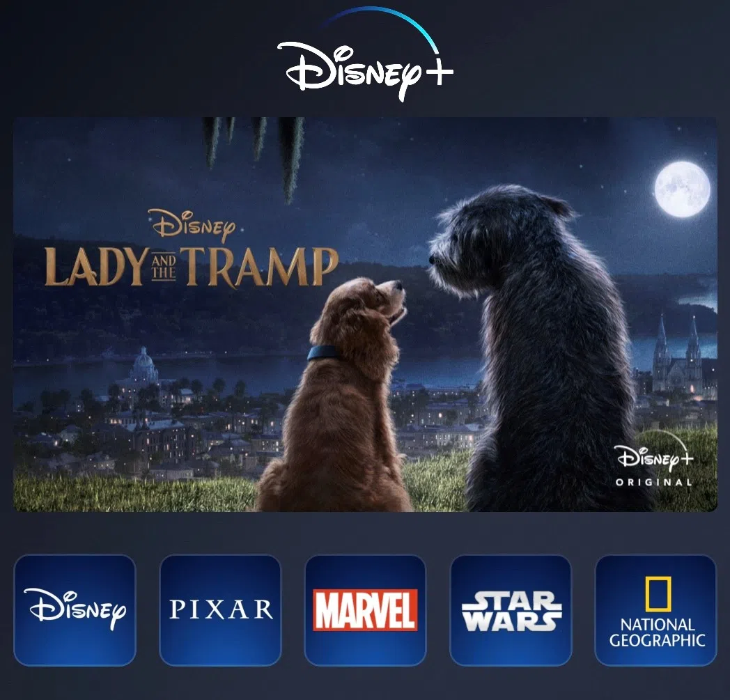 Disney Plus Launches Today On The South Shore… For Free! | CKBW
