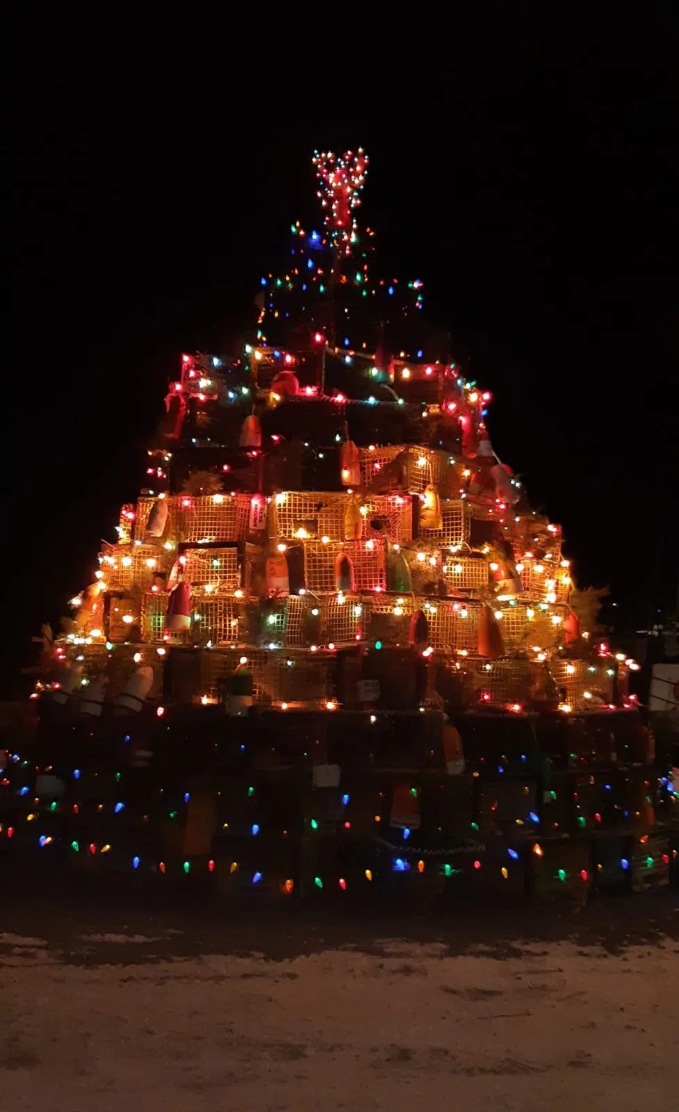 Barrington’s Lobster Trap Tree & Other Unique Trees! | CKBW