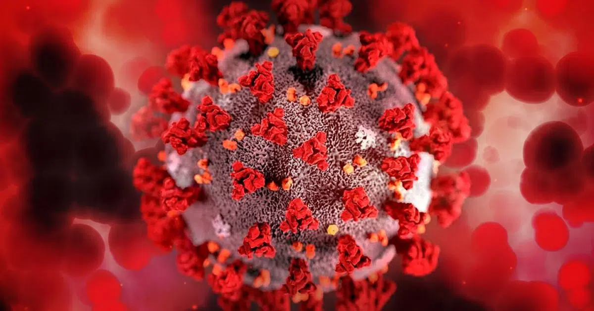 N.S. passes peak of 6th wave, reports 24 new deaths | CKBW