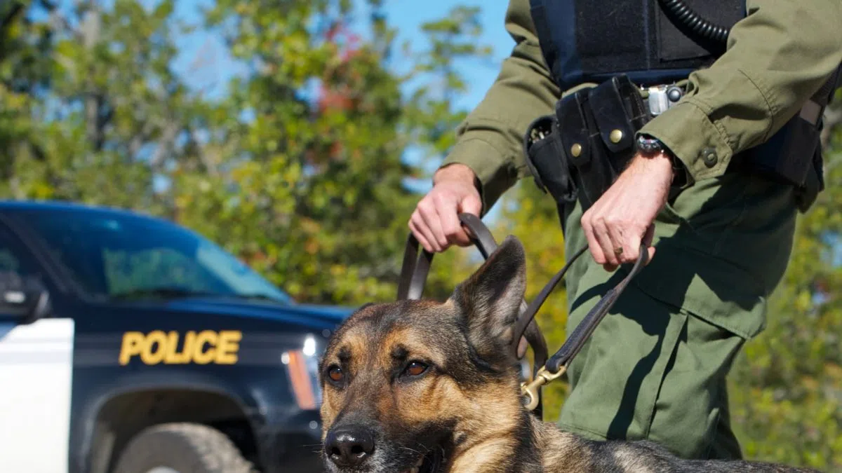 Name the RCMP puppy contest | CKBW