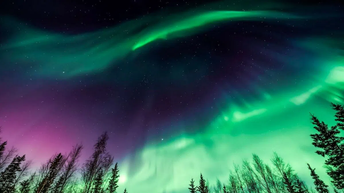 Northern Lights Tonight (November 12th 2025) | CKBW