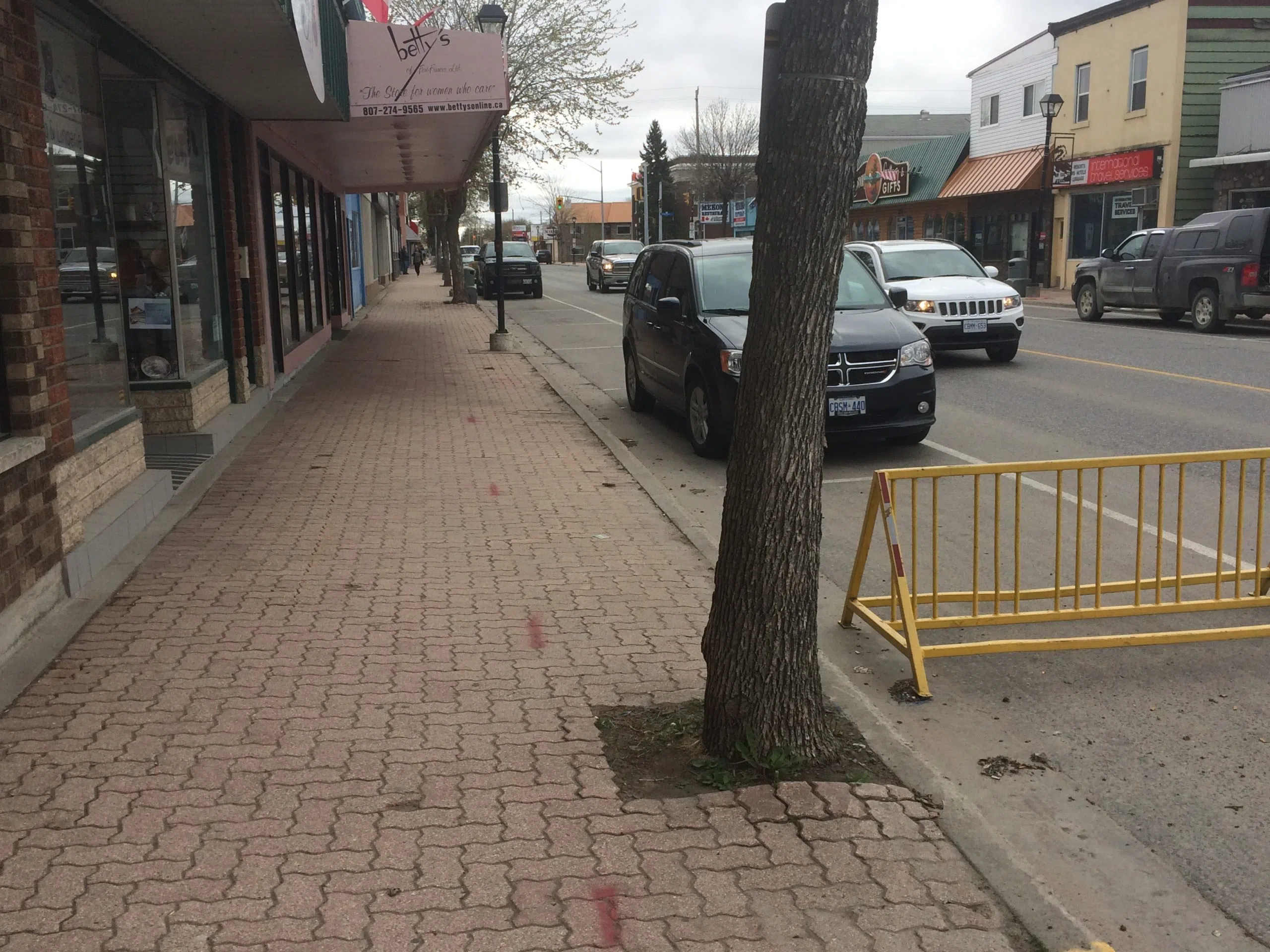 Trees Causing Damage In Downtown Fort Frances | CFOB 93.1 The Border Trees Causing Damage In Downtown Fort Frances | CFOB 93.1 The Border