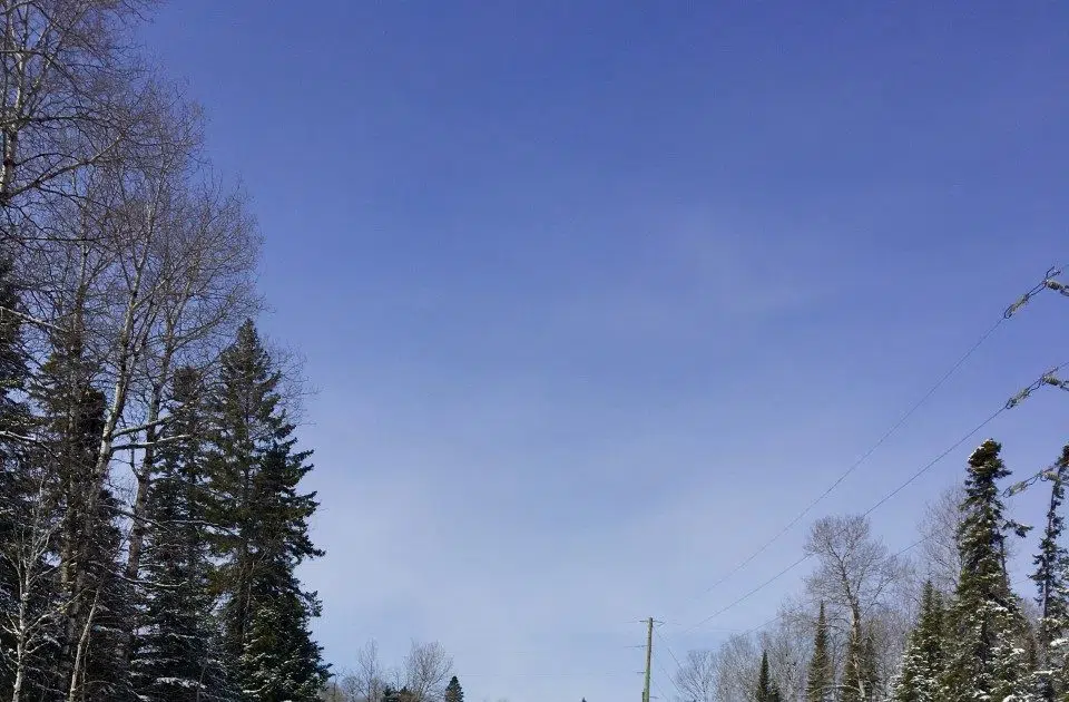 The Winter That Never Ends | CKDR