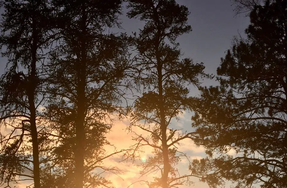 Eagle River – In The Midst Of The Crisp Cold | CKDR