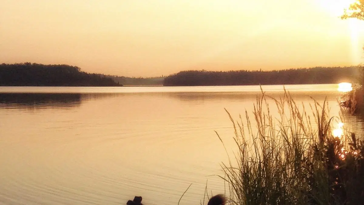 McKenzie Island | CKDR