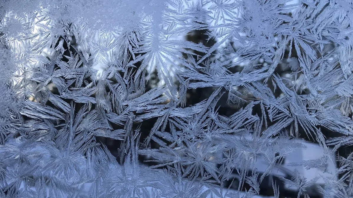 Red Lake – Window Art By ‘Jack Frost’ | CKDR