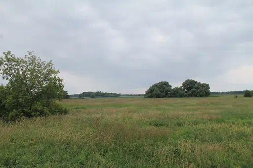 DNR Plans Drawdown of Collins Marsh in Reedsville | Seehafer News