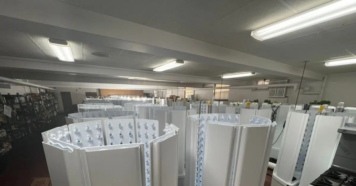 Grow It Forward Receives USDA Grant, Doubles Hydroponic Farm ...