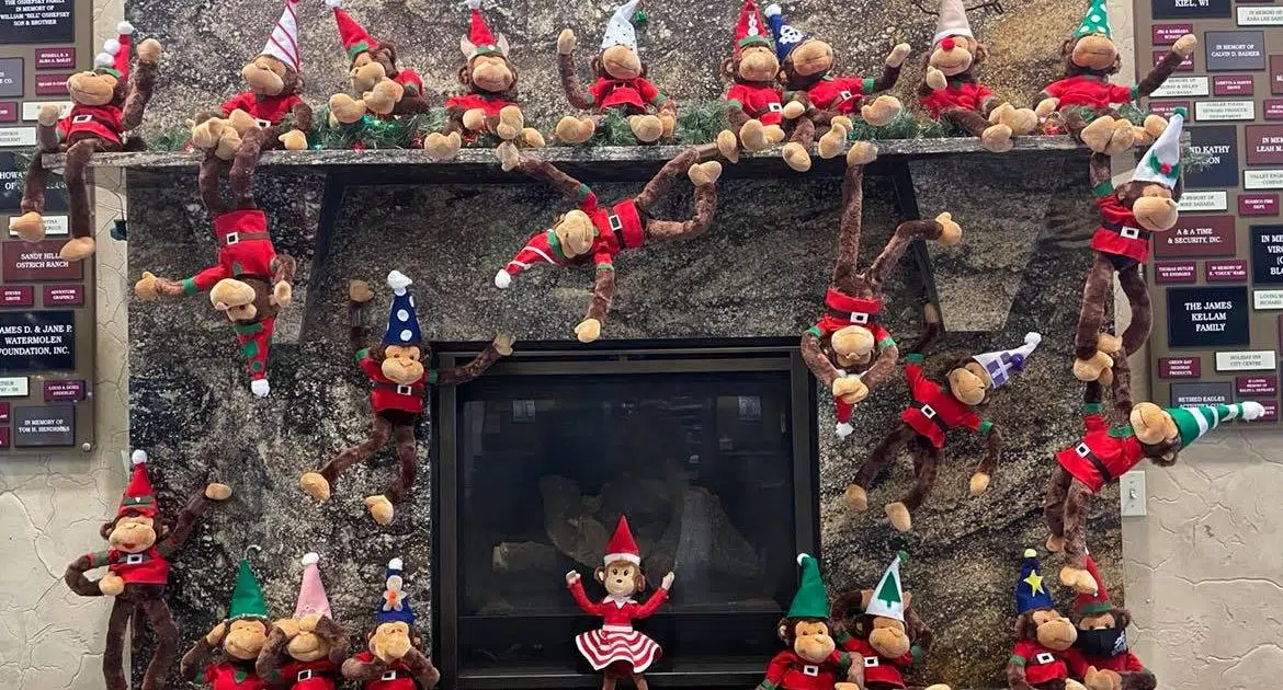 Monkey Elves Return to NEW Zoo This Weekend for Annual Holiday Fest ...