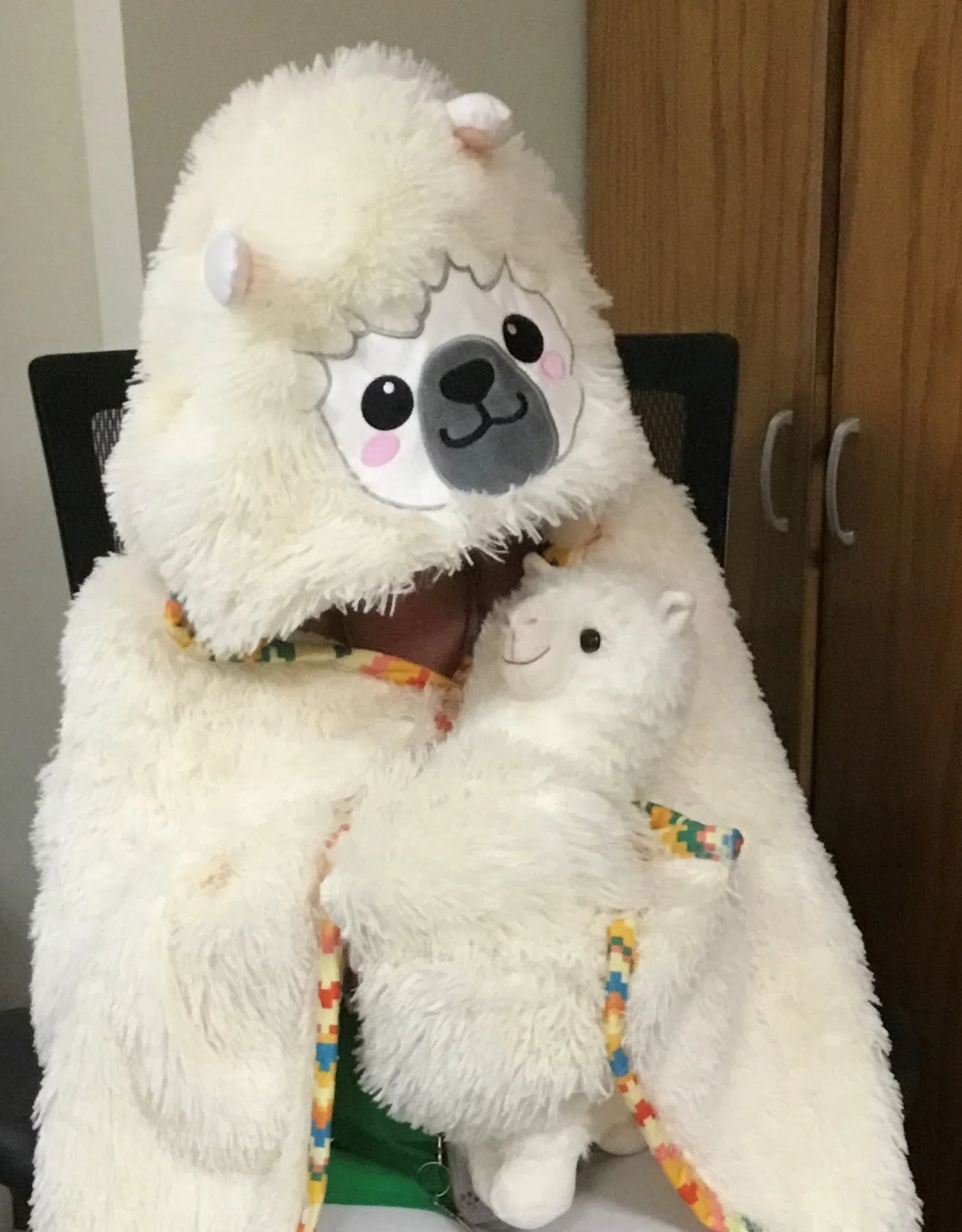 “Meet the Alpacas” at Manitowoc Public Library This Friday, Courtesy of ...