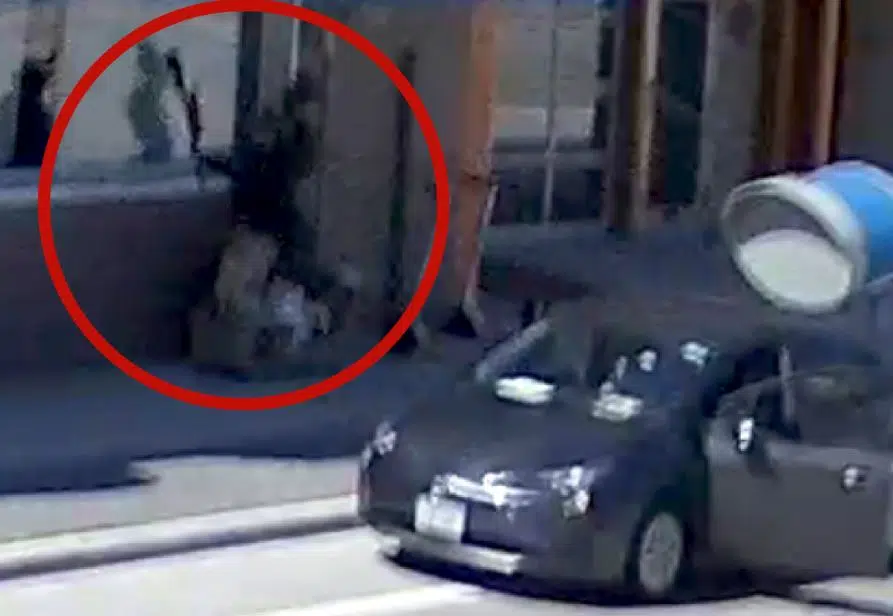 Appleton Man Apprehended After Attacking a Business with the Butt of a ...