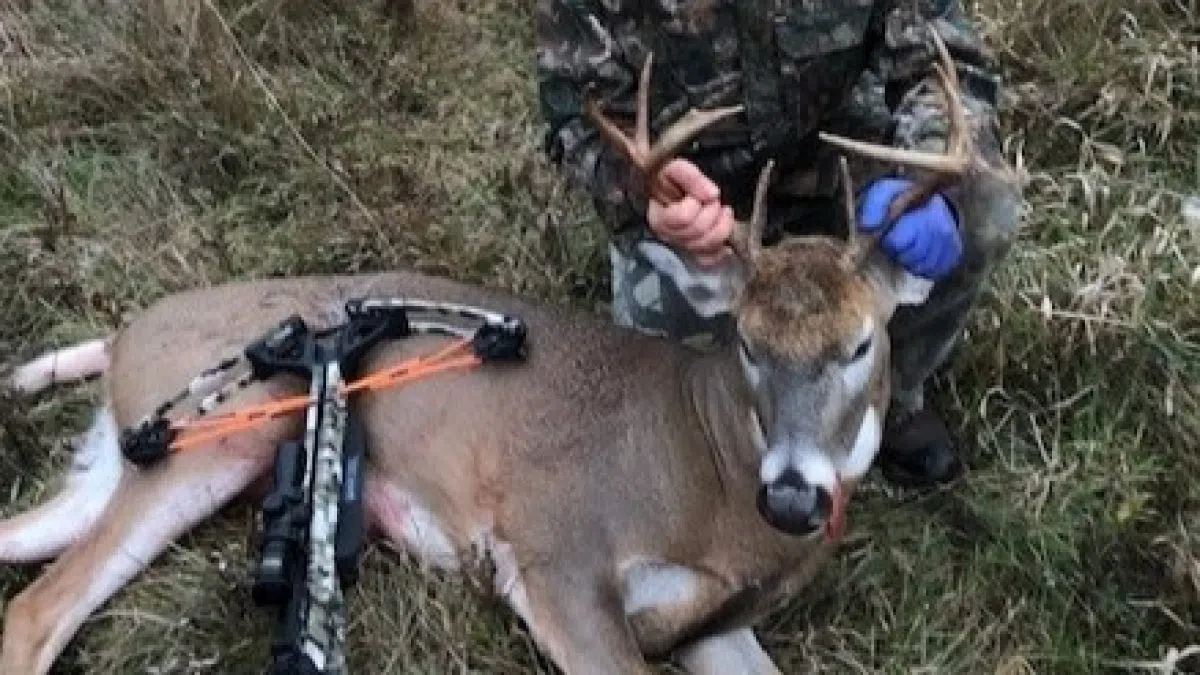 Wisconsin DNR Deer Councils Hosting Meeting in Eastern Wisconsin ...