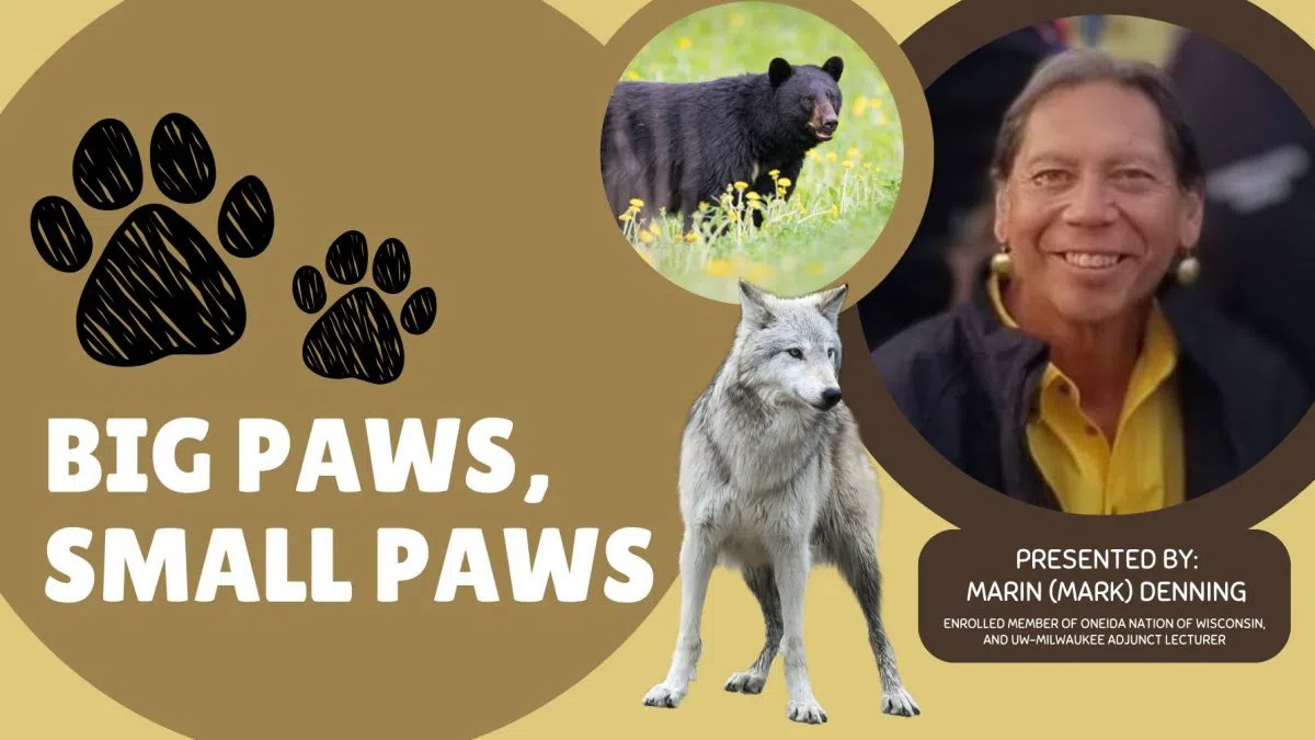 Indigenous Understanding & Furry Mammals Take the Spotlight at MPL ...