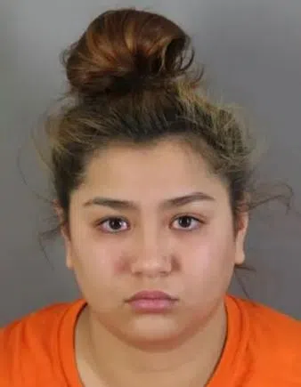 Teenage Babysitter Faces Trial Over Alleged Killing of Family Pet ...