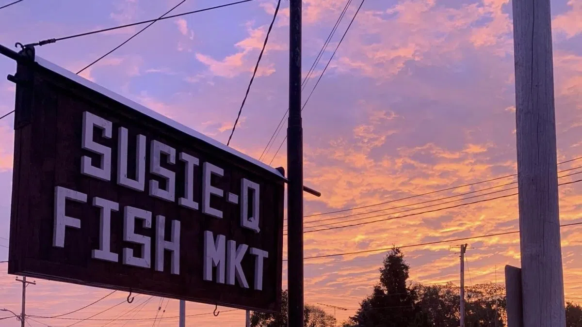 Local Fish Company Supports Lake Michigan Trout Commercial Fishing ...