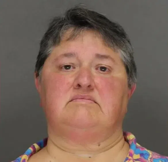 Plea Hearing Scheduled for Woman Accused of Stealing from Person Under ...