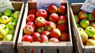 Two Rivers 40th Annual Applefest | Seehafer News