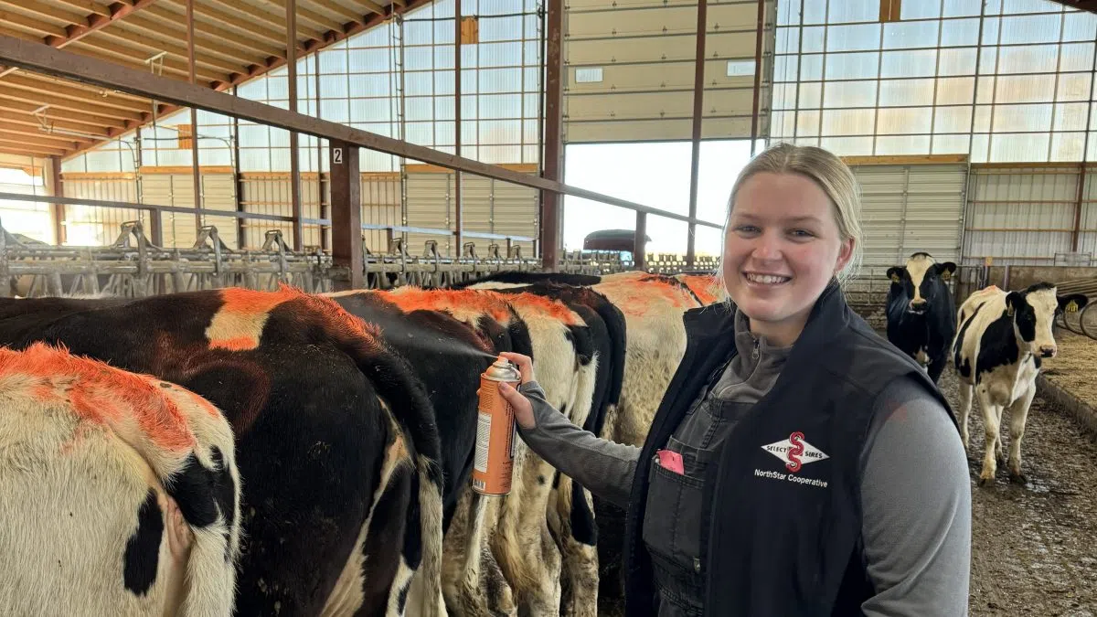 CESA 7 Joins Give Big Green Bay to Help Local Students | Seehafer News