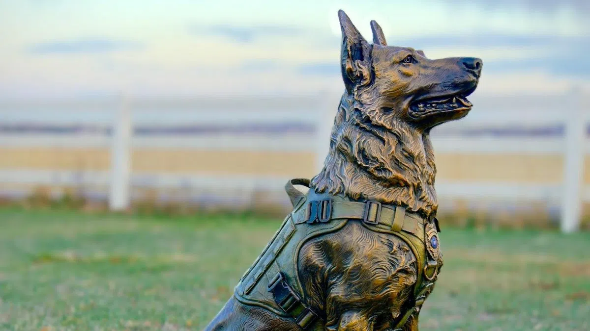 Manitowoc Police: K9 Memorial Closer to Becoming Reality | Seehafer News