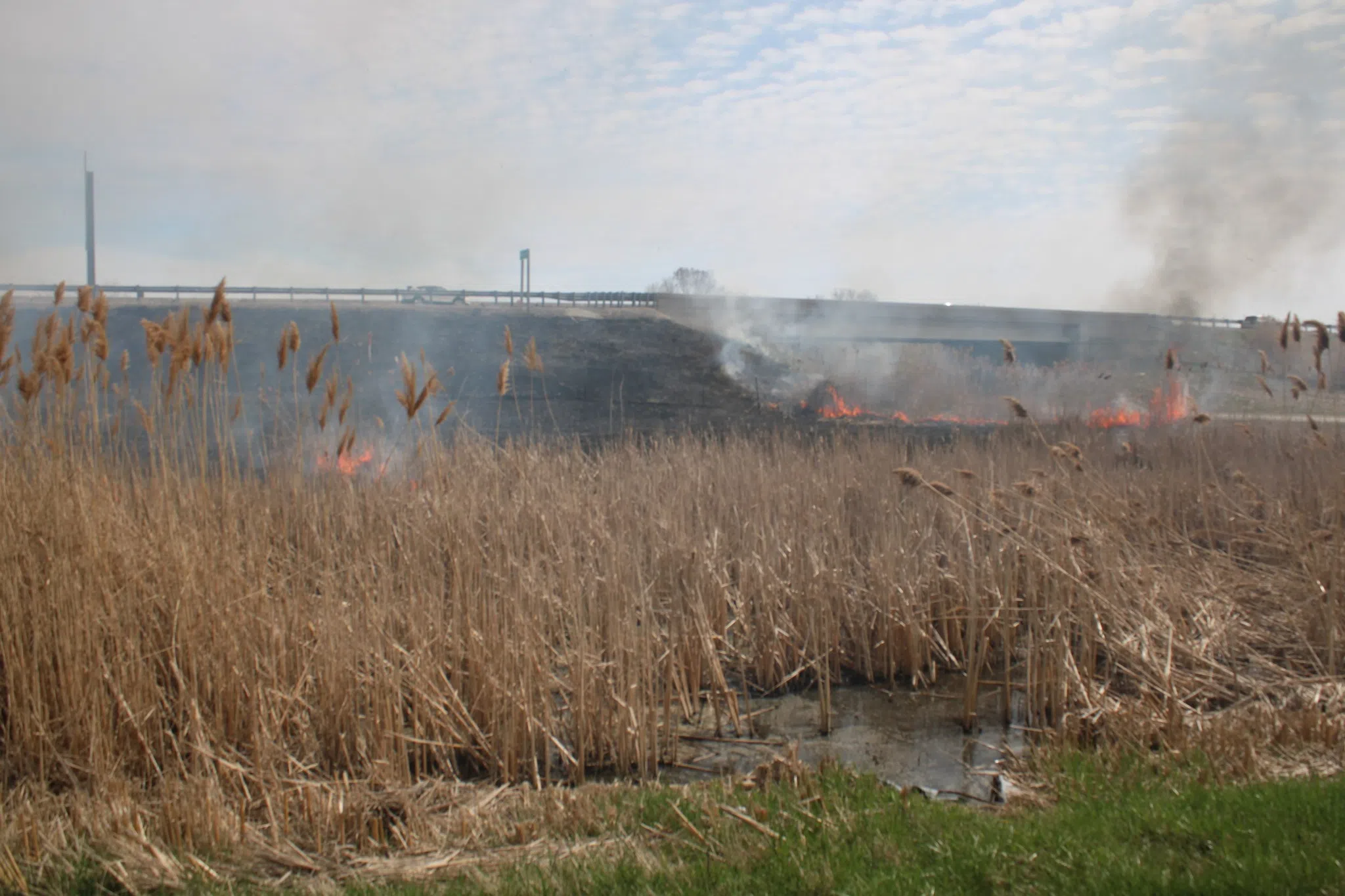 No One Injured in Roadside Fire Near I-41 | Seehafer News