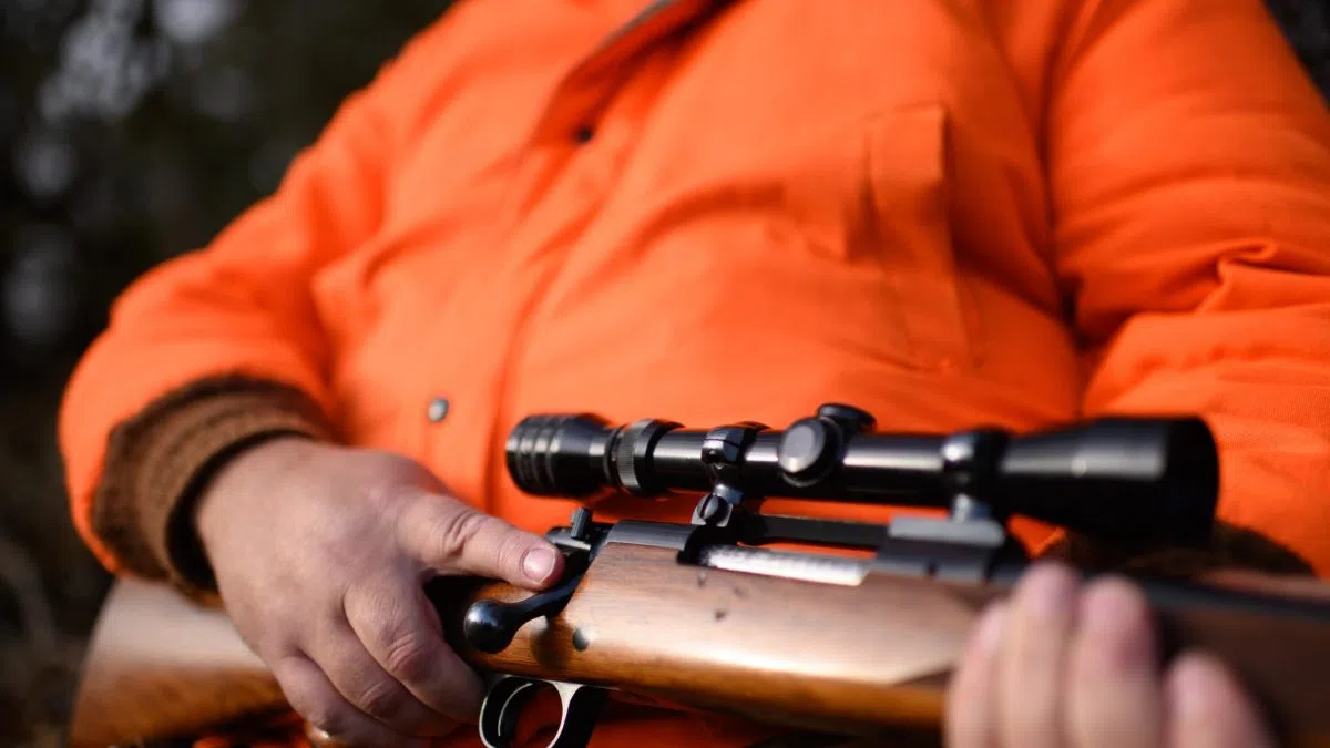 Deer Hunting Made Accessible – DNR’s New Opportunities for Hunters with Disabilities | Seehafer News