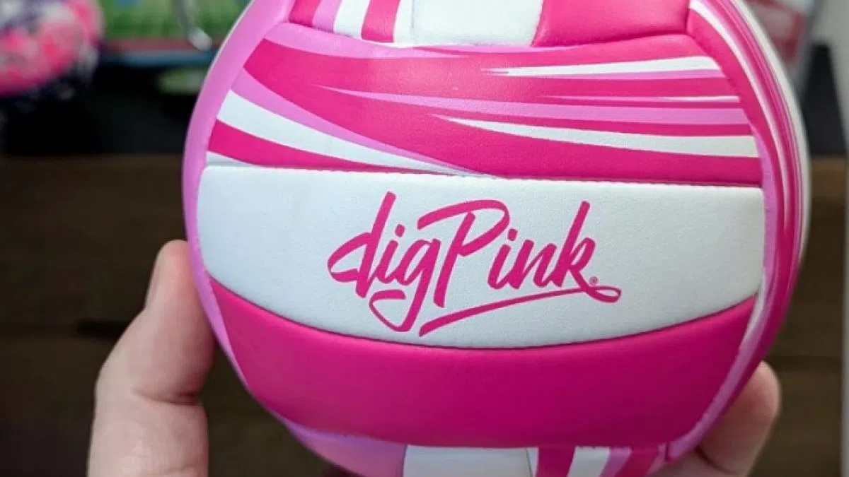 Lancers and Panthers Volleyball Meet on Dig Pink Night | Seehafer News