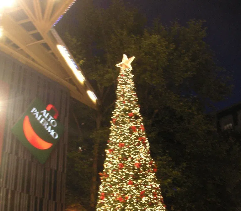 National Christmas Tree Toppled Over Due To High Winds!! | Rock 107