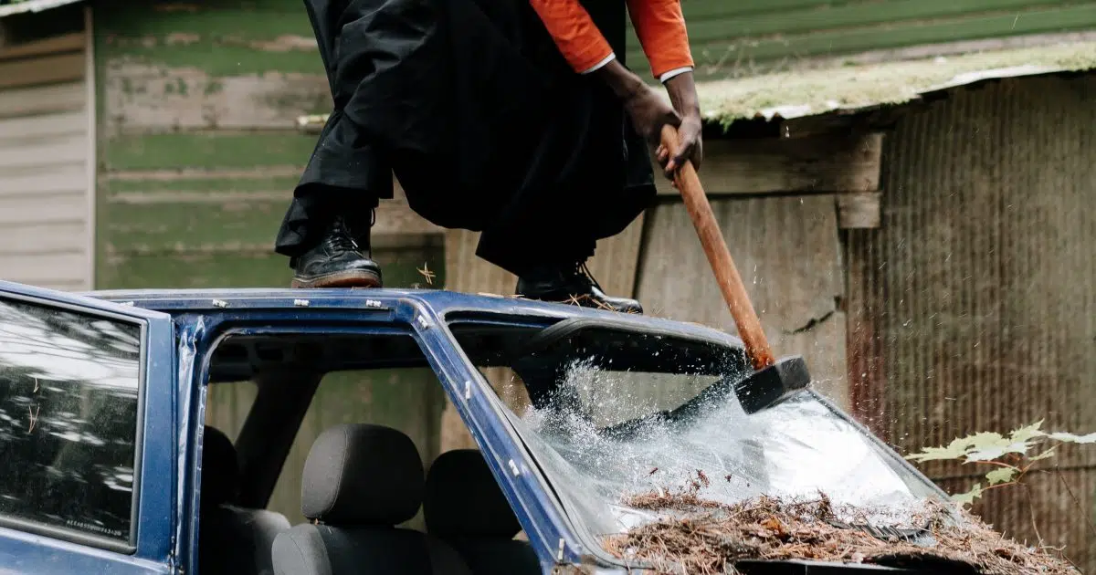 Sean Kelly and Mariam Serkal are ready to smash things, with the help ...