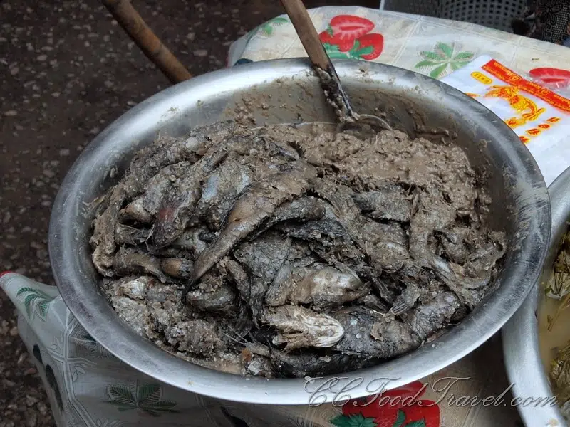 Swedish Daredevil Devours Stinky Delicacy: Sets Guinness World Record ...