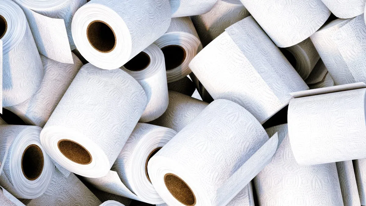 Canada’s TP Troubles: A Forest Full of Wiped-Out Trees | Mix 97