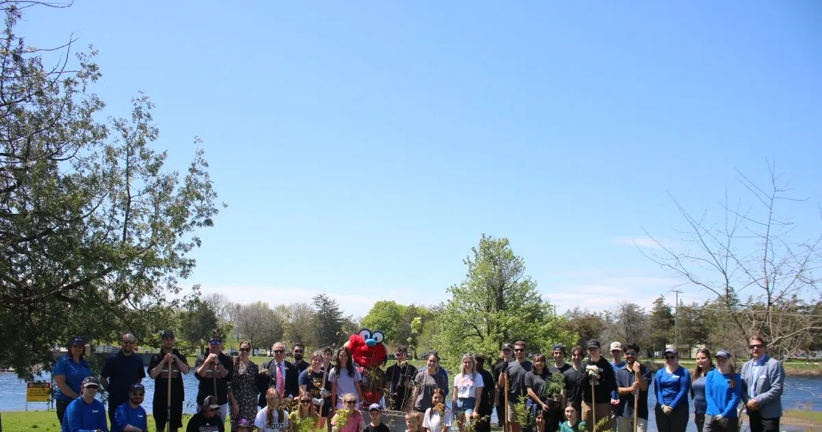 The Belleville Senators break sticks and plant trees | Green Quinte