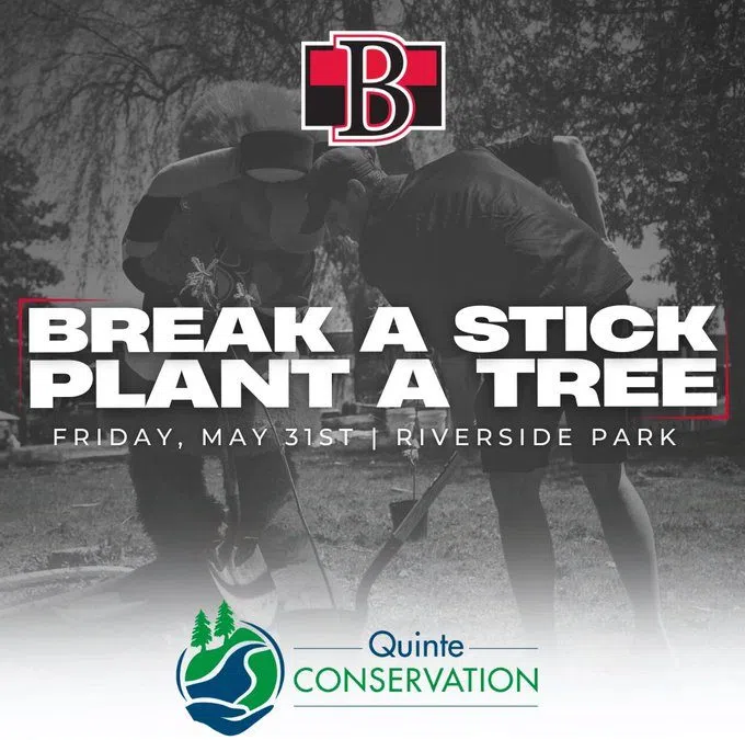 B-Sens break sticks, plant trees | Green Quinte