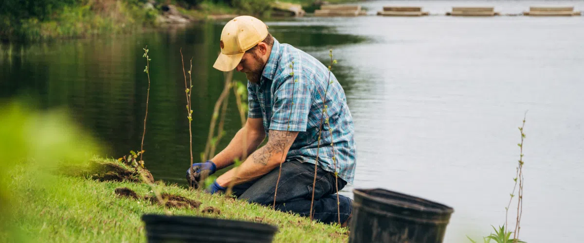 Shoreline naturalization incentives from Quinte Conservation | Green Quinte
