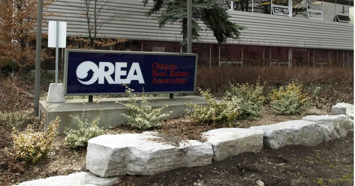 Cathy Polan named a Provincial Director | Quinte News