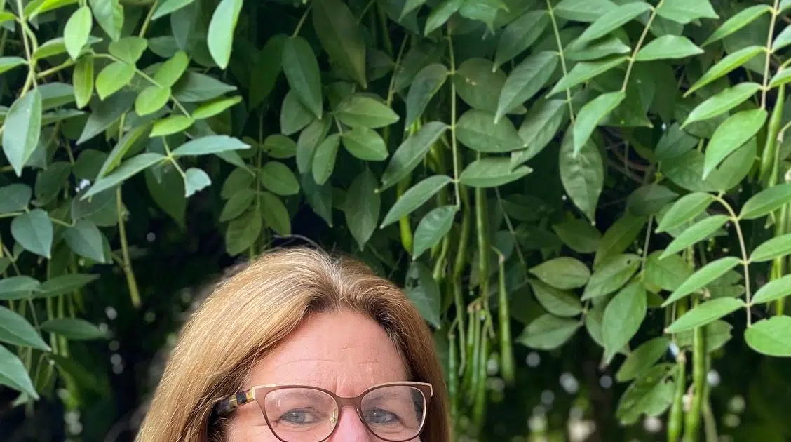 Roseblade seeking reelection in Quinte West | Quinte News