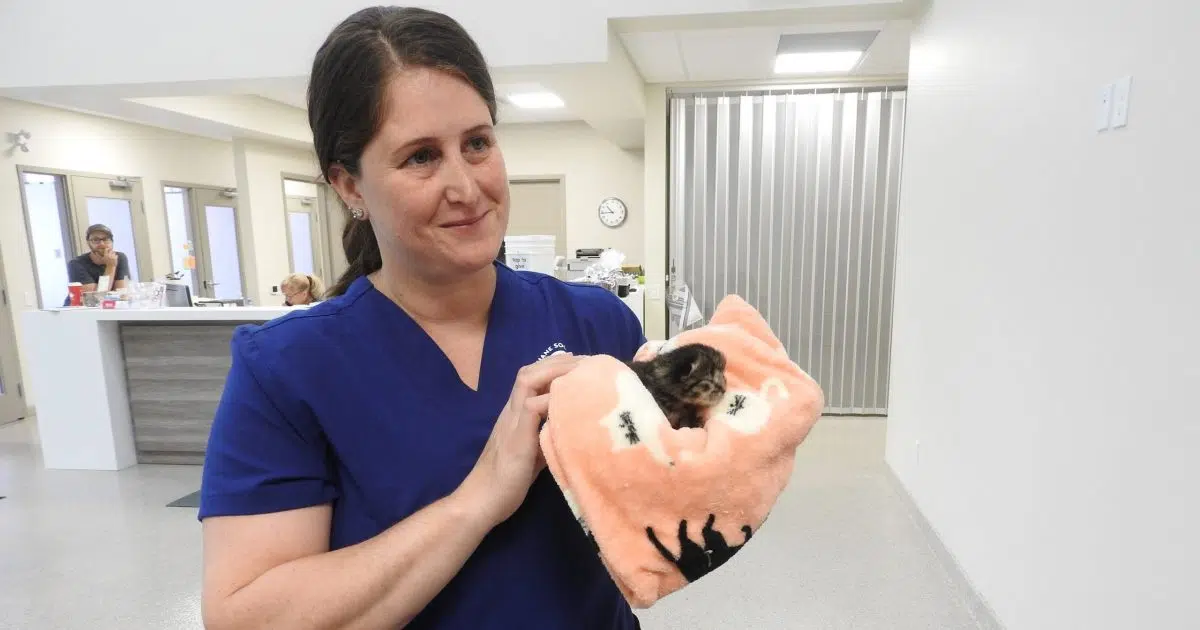 Tour around new animal centre | Quinte News