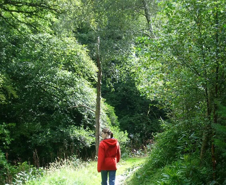 HR Frink Centre fall festival | Quinte News